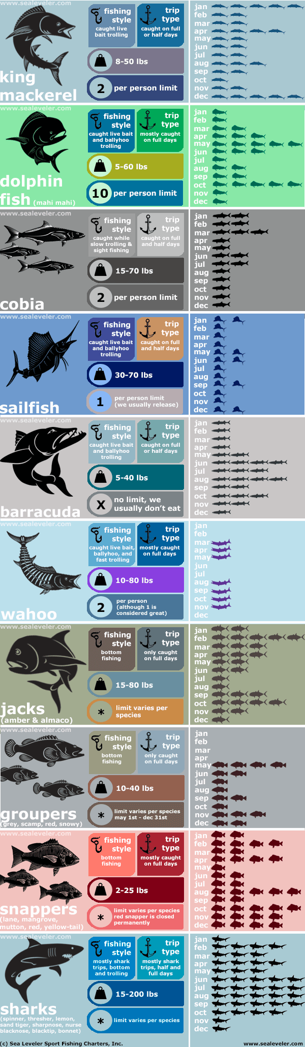 Florida Fishing Season | Fish Caught by Month Infographic